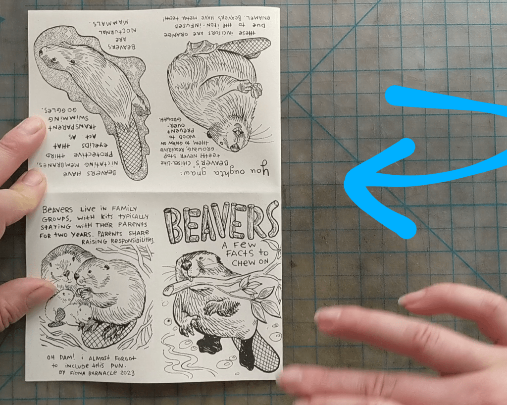 How to fold a mini-zine (Step-by-step) – Fiona Barnacle