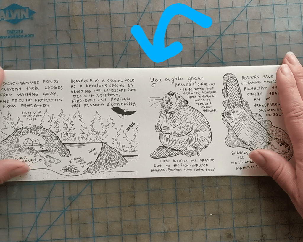 How to fold a mini-zine (Step-by-step) – Fiona Barnacle