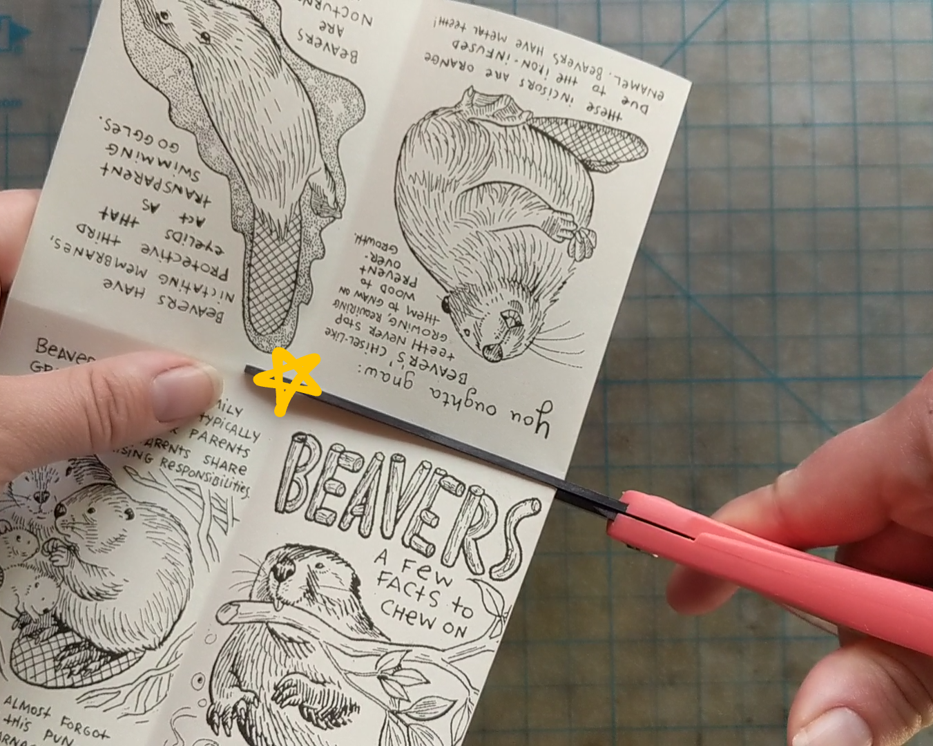 How to fold a mini-zine (Step-by-step) – Fiona Barnacle